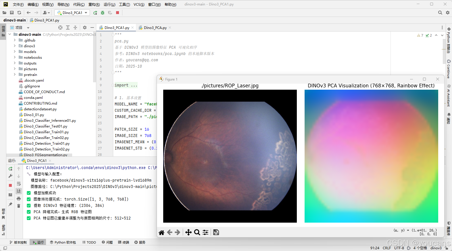 【DINOv3】（4）例程1：高维特征可视化_dino特征可视化-CSDN博客