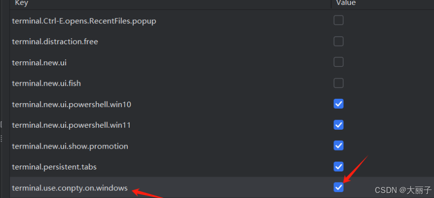 IDEA更新到2024.3后Terminal终端打不开的问题_idea terminal打不开-CSDN博客