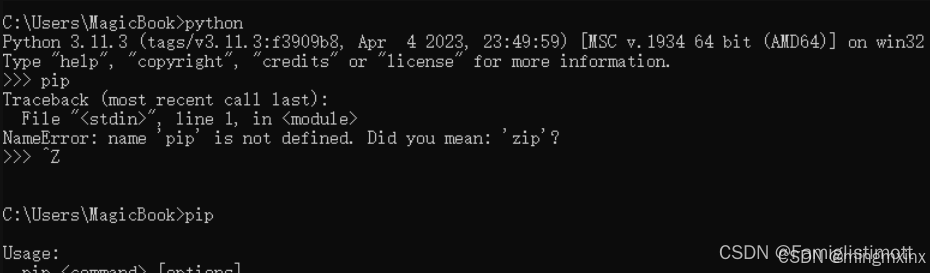 File “＜stdin＞“, line 1, in ＜module＞NameError_nameerror: name 'pip' is not defined. did you mean ...
