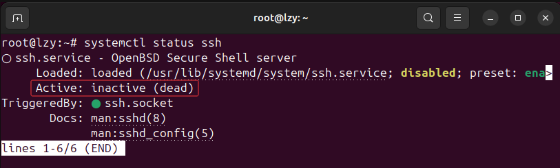 FinalShell远程连接VMWare上的Ubuntu24.04虚拟机_finalshell ubuntu版本-CSDN博客
