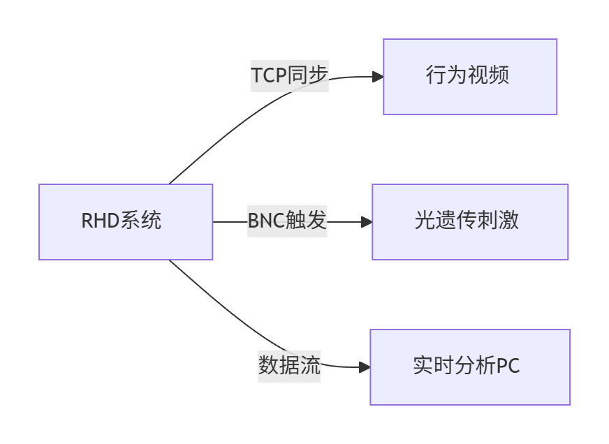 Intan RHD电生理记录系统：从入门到精通的全方位指南_rhd intan-CSDN博客