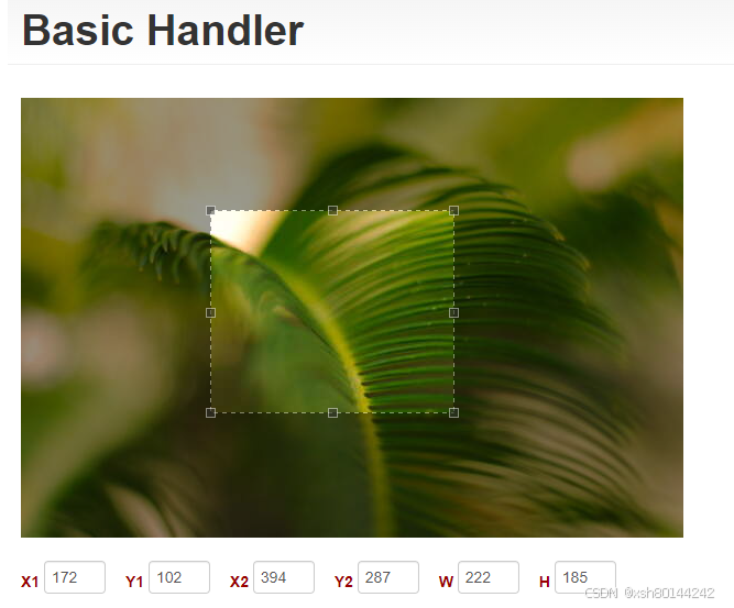 跨浏览器的jquery图片剪裁插件Jcrop_jquery.jcrop.js-CSDN博客