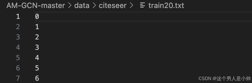 【图神经网络】 AM-GCN代码实战（3）【pytorch】代码可运行-CSDN博客