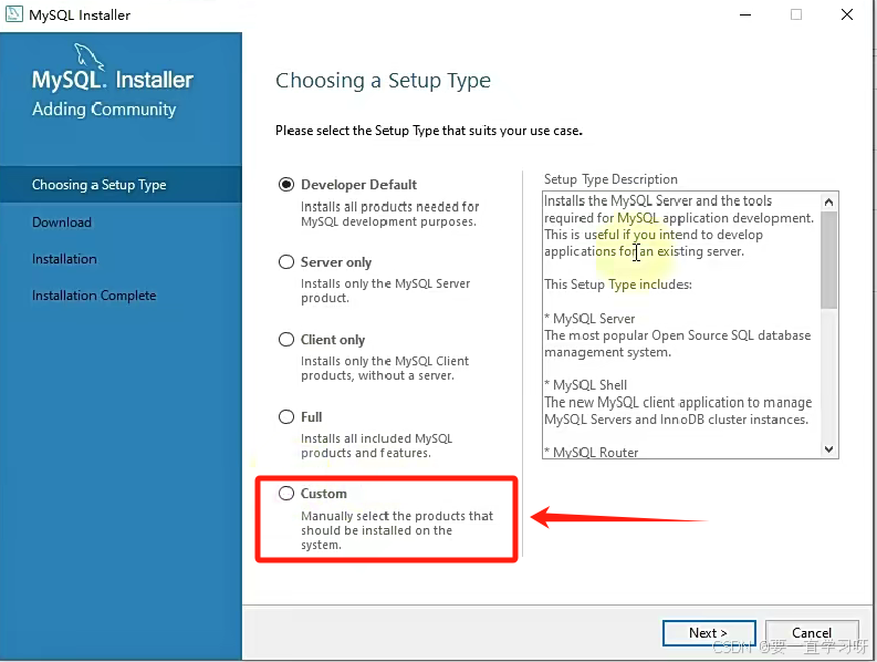 win11系统安装mysql时，不显示developer default选项，如何自定义安装_mysql安装没有developer default-CSDN博客