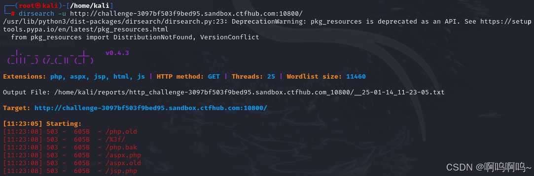 CTFHub技能树（一）Web-信息泄露_ctfhub目录遍历-CSDN博客