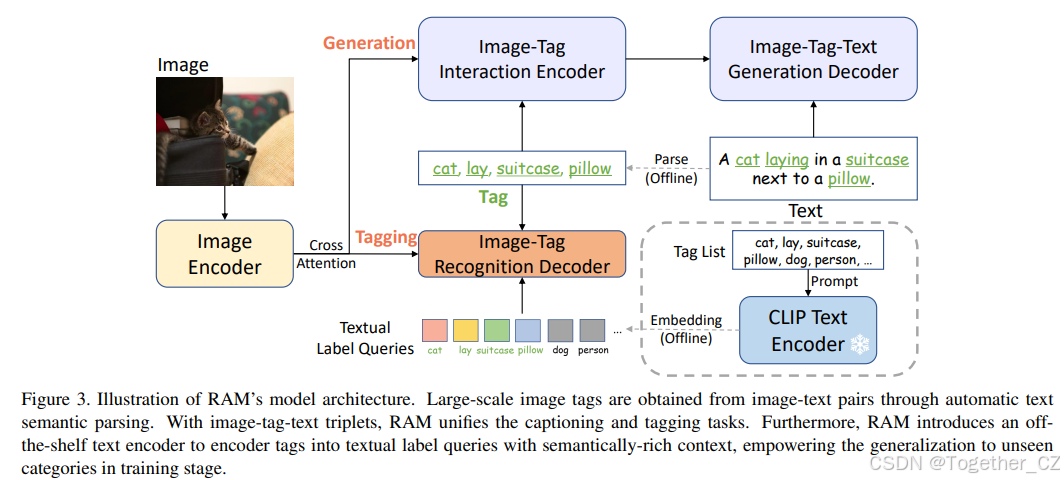 RAM：Recognize Anything: A Strong Image Tagging Model——识别万物：一种强大的图像标签模型_recognize anything model ...