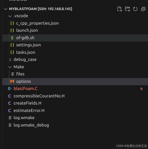 如何在VScode中借助OFextension插件用GDB调试openFoam/C/C++程序（全网亲测有效。少走弯路：本人用于调试C++编写的调试openfoam）_vscode ...