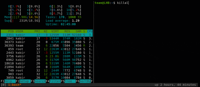 linux命令-kill、pkill 和 killall_kill 命令-CSDN博客