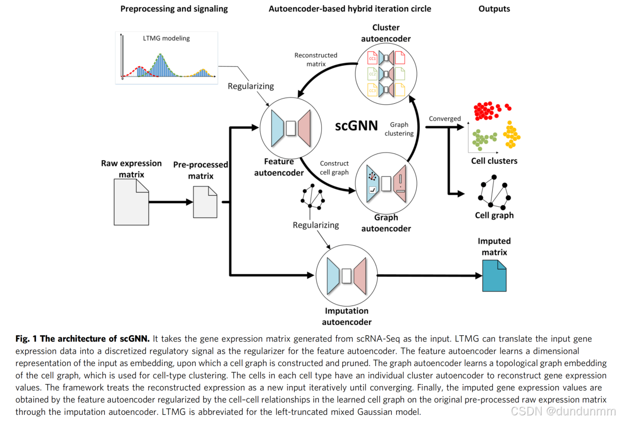 论文阅读：scGNN is a novel graph neural network frameworkfor single-cell RNA-Seq analyses--方法部分_scgnn ...
