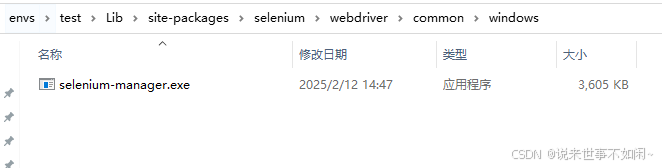 Selenium Manager请求外网error sending request错误分析和解决-CSDN博客