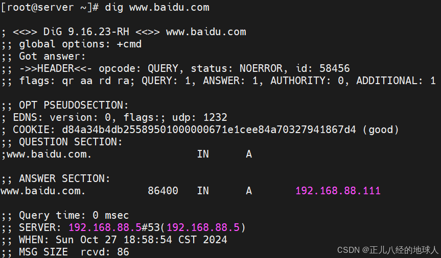 RHCE【DNS服务器】-CSDN博客