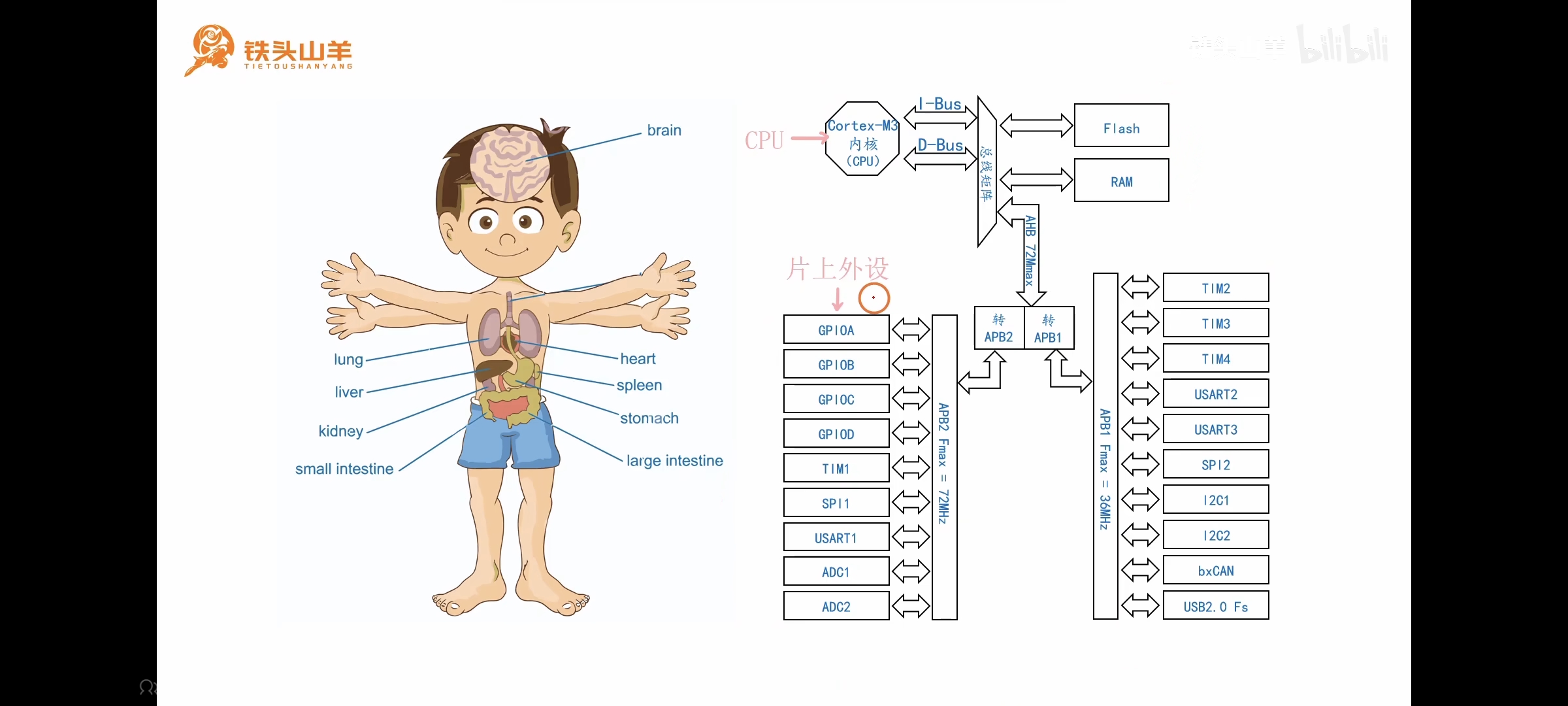 有关GPIO的入门知识_p脚和gpio-CSDN博客