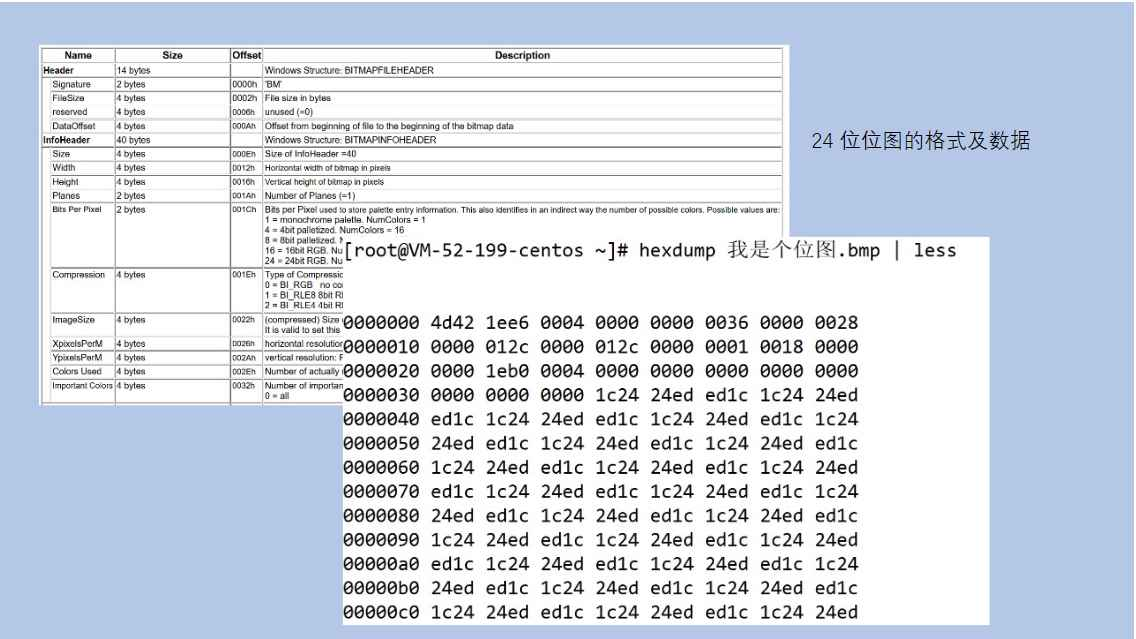 JavaEE-初阶-文件操作和IO-CSDN博客