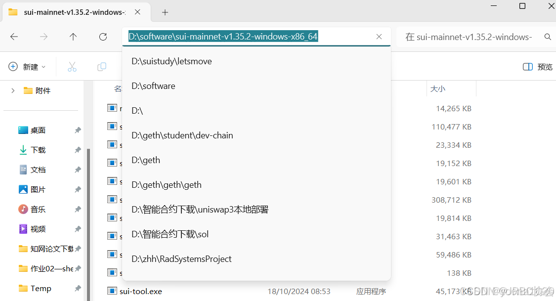 Sui学习_sui文档-CSDN博客