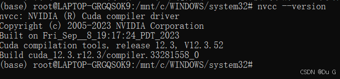 wsl 中通过pytorch调用gpu_wsl使用gpu-CSDN博客