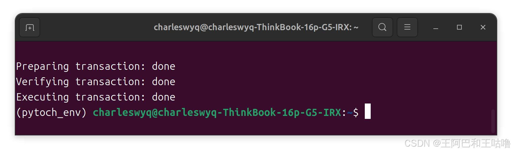 【Ubuntu2404】Ubuntu24.04安装PyTorch (GPU)_ubuntu pytorch-CSDN博客