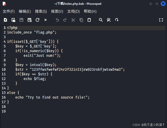 BUUCTF Web [ACTF2020 新生赛]BackupFile1-CSDN博客