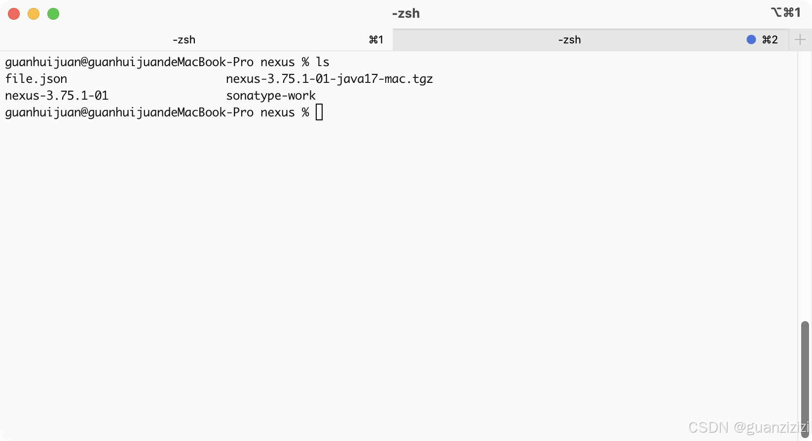 Mac Sonatype Nexus 安装与配置_mac nexus-CSDN博客