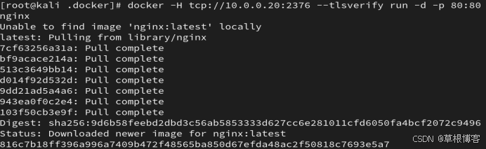 docker的TLS加密传输_docker tls-CSDN博客