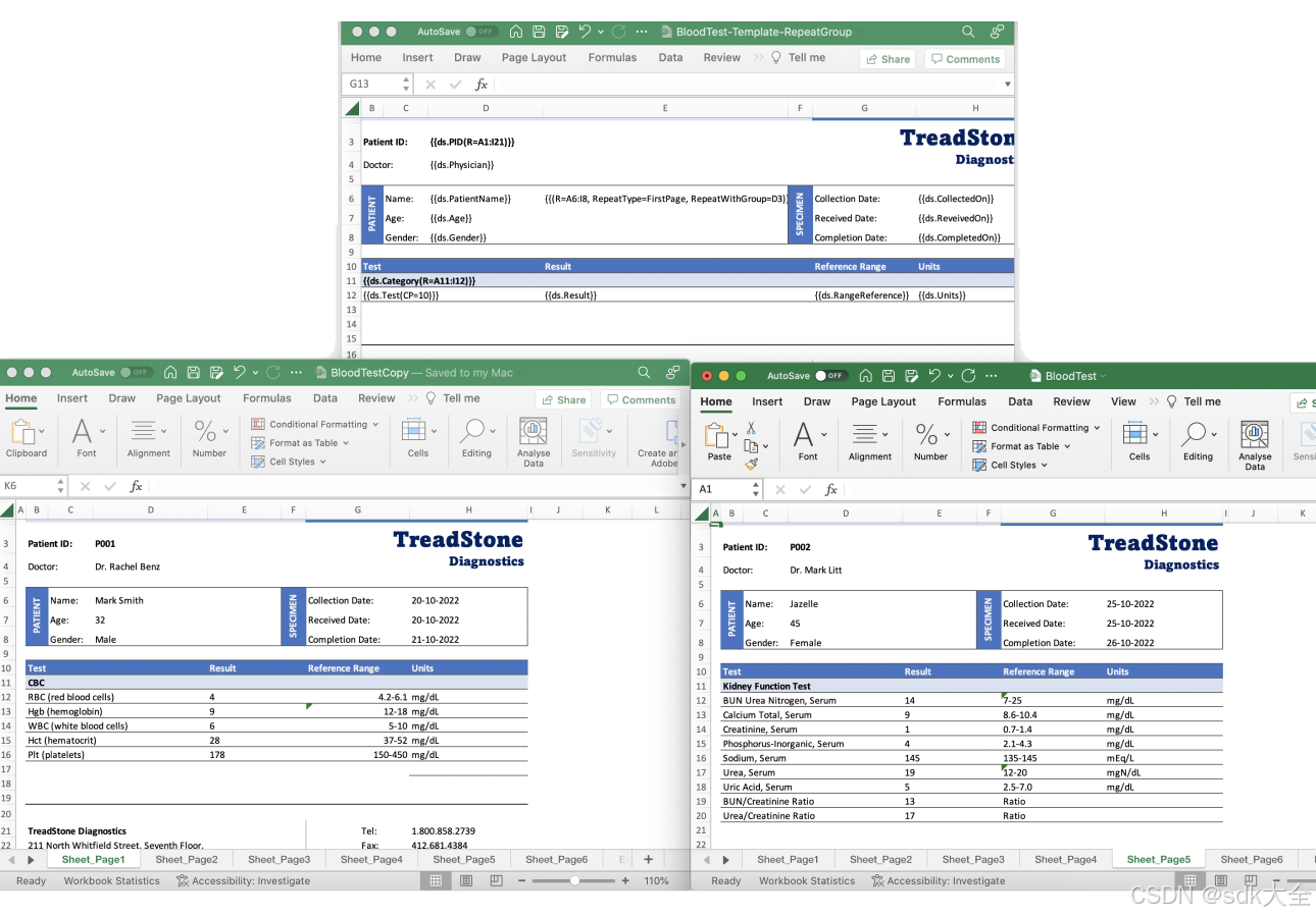 DsExcel Java / GcExcel Java 8.1.0 -CSDN博客