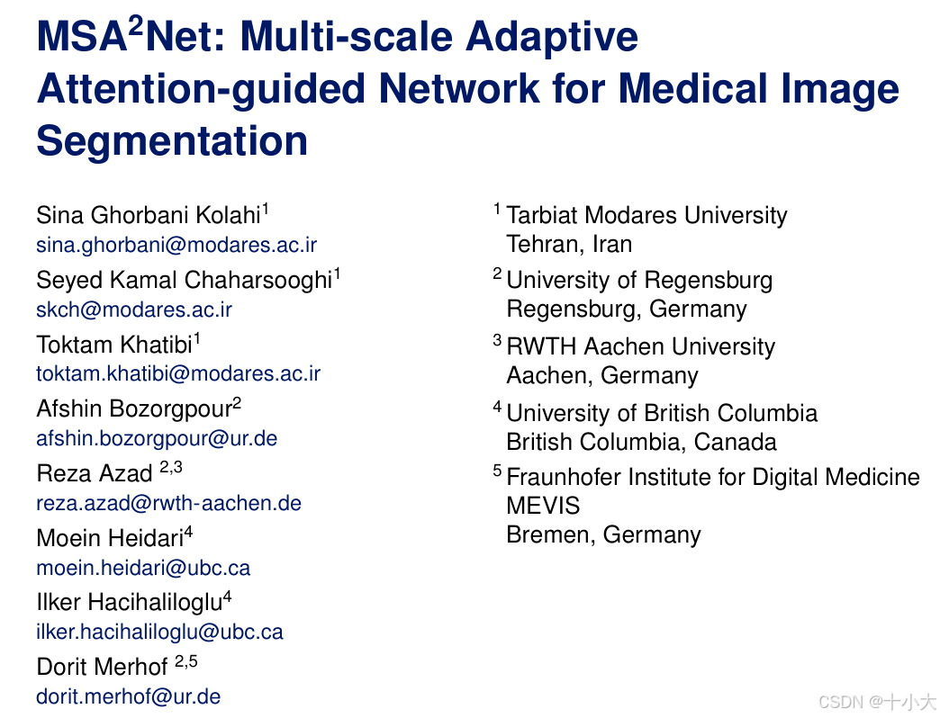 【即插即用模块】注意力篇 | BMVC 2024 Oral | 多尺度门控注意力MASAG，可插入到任意U型网络中，涨点明显！_mass多尺度 ...