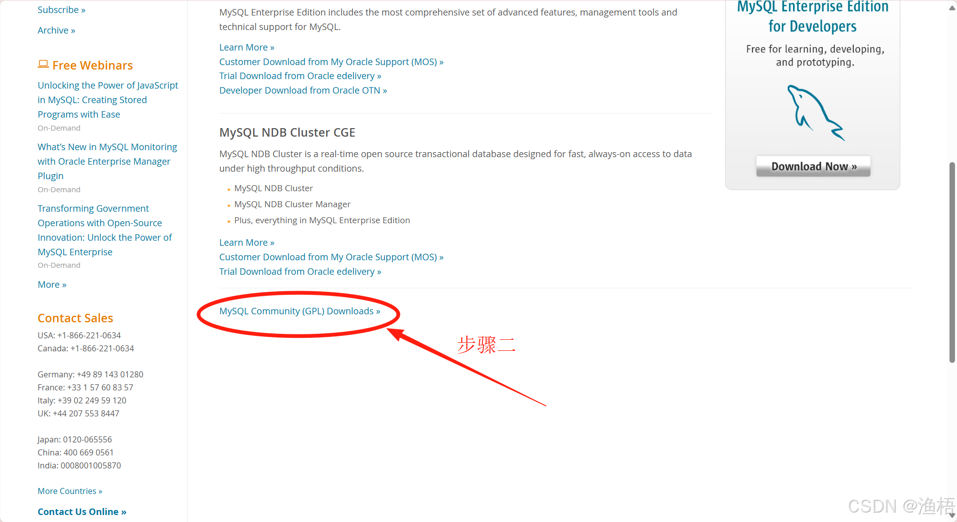 MySQL8.0 下载安装配置详细教程（windows）_mysql8.0下载-CSDN博客