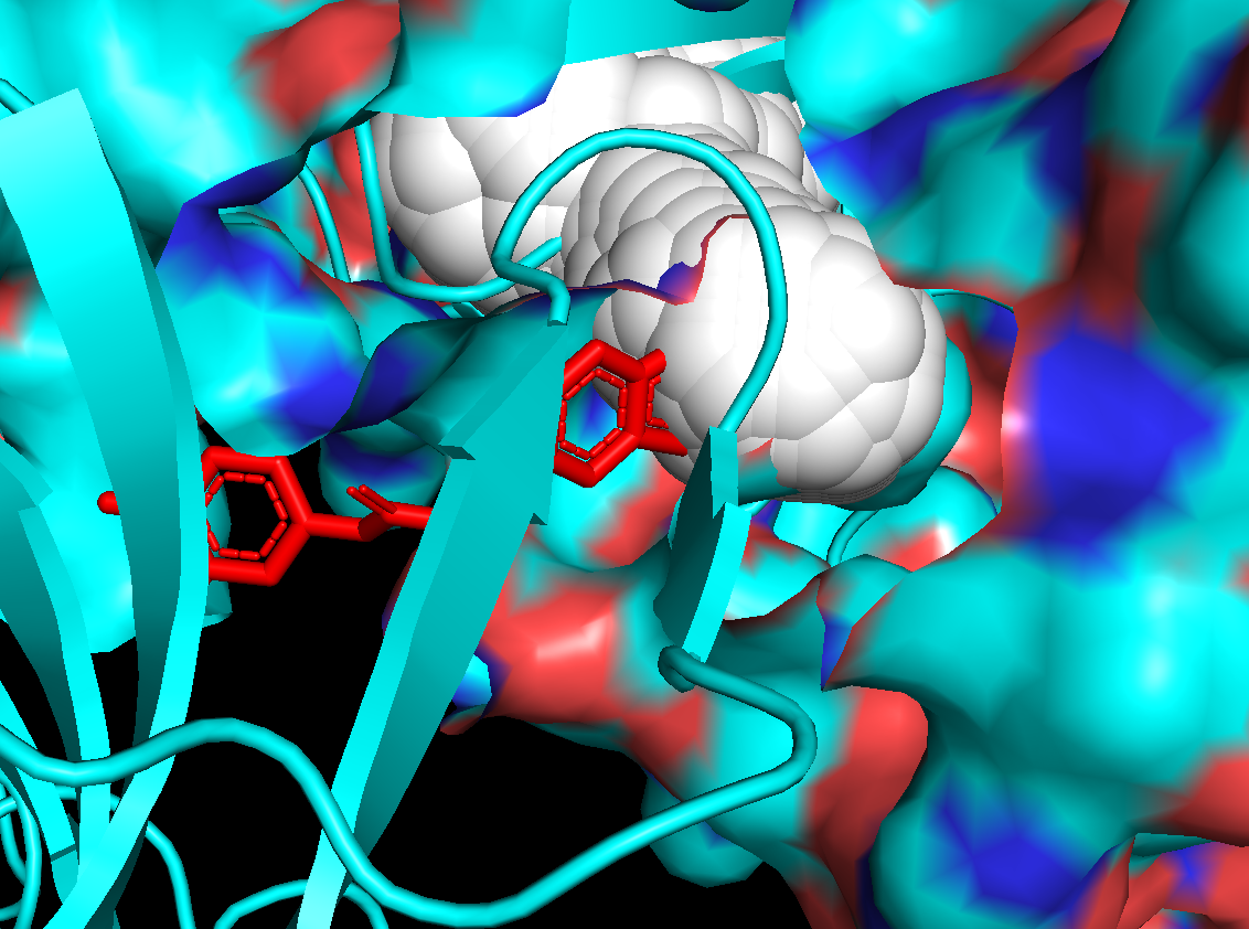 AIDD分享：ED2Mol-CSDN博客