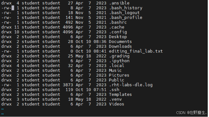 Linux（5）——Vim与Shell变量_vim-minimal是什么-CSDN博客