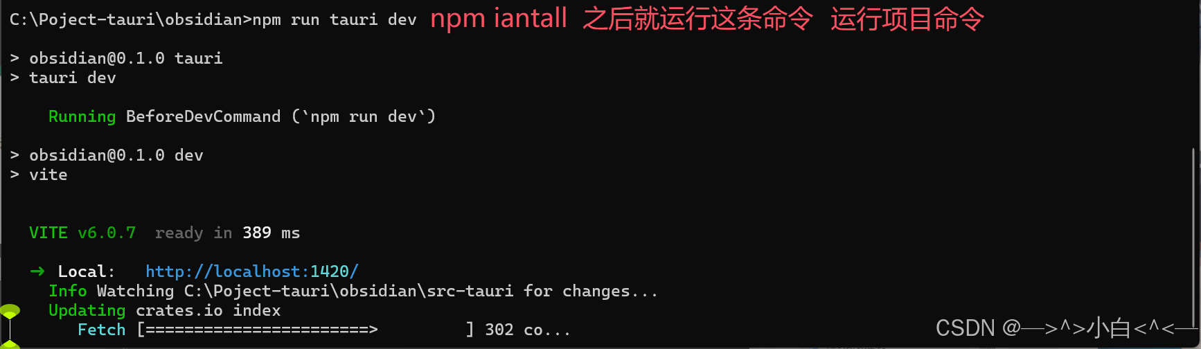 初次构建tauri项目_tauri创建项目-CSDN博客