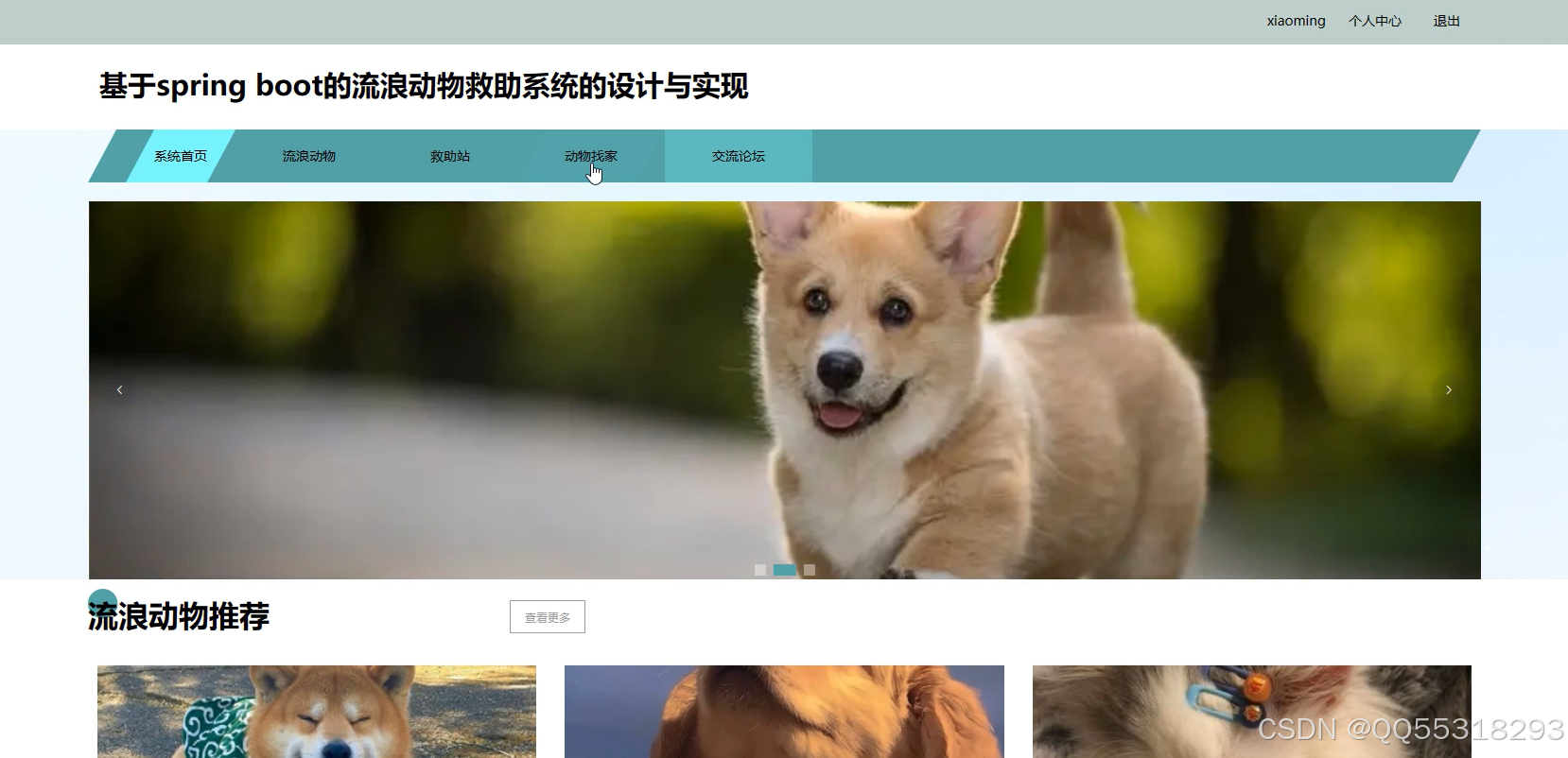 Python+Django的流浪动物救助系统的设计与实现(Pycharm Flask Django Vue mysql)-CSDN博客