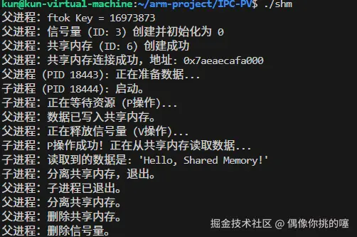Linux应用开发-13-共享内存-CSDN博客