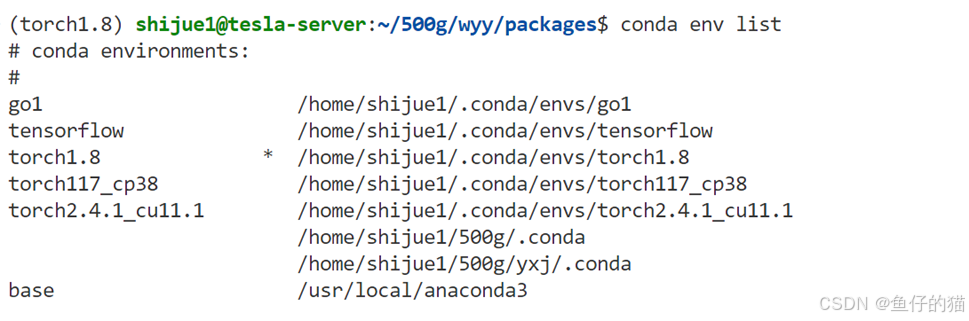 pytorch深度学习调试常见报错_this error can generally be solved using the `deve-CSDN博客