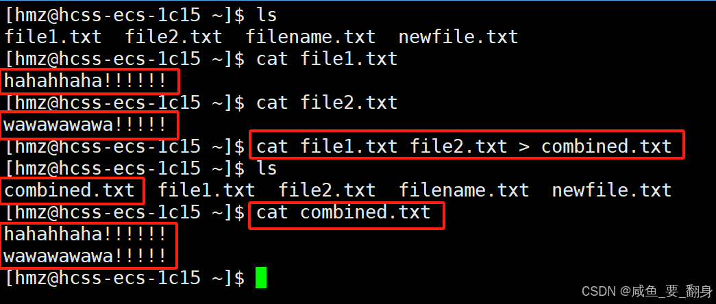 Linux基本命令篇 —— cat命令_linux cat-CSDN博客