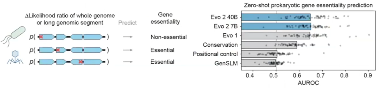 Evo2 论文讲解_基因 模型 evo2-CSDN博客