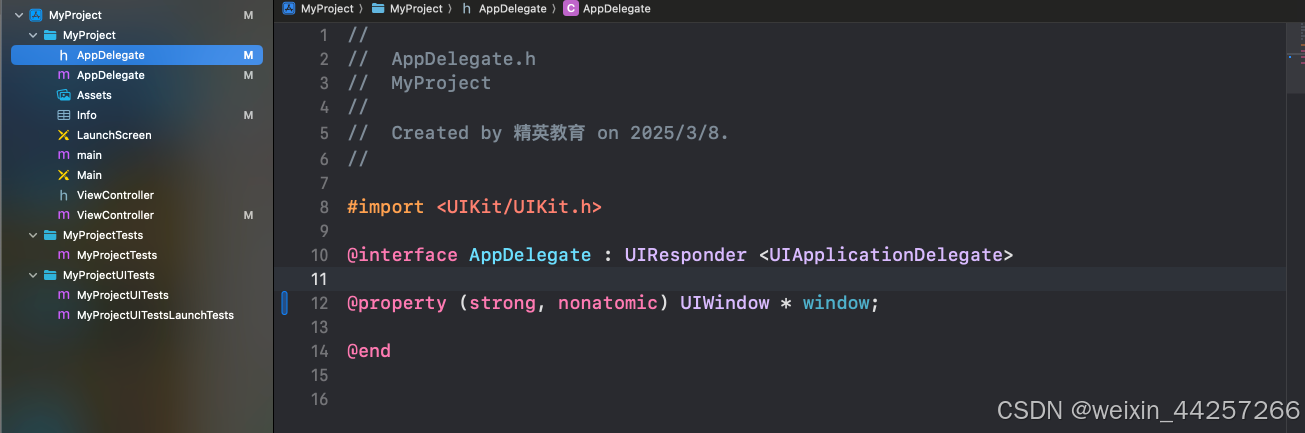 iOS开发第一章：工程项目创建及设置_xcode新建项目-CSDN博客
