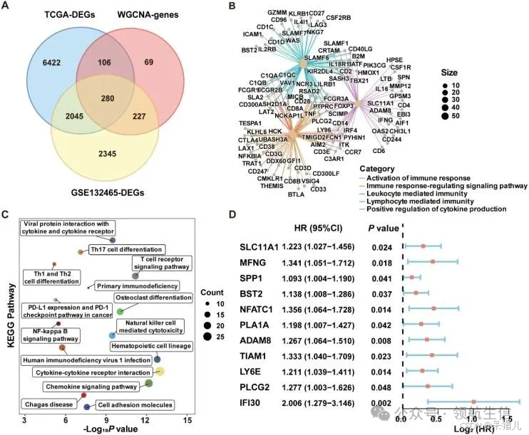 0测序，无返修2个月完成！“多组学＋机器学习”拿下中科院2区！不信你不心动？_stepcox结果怎么看-CSDN博客