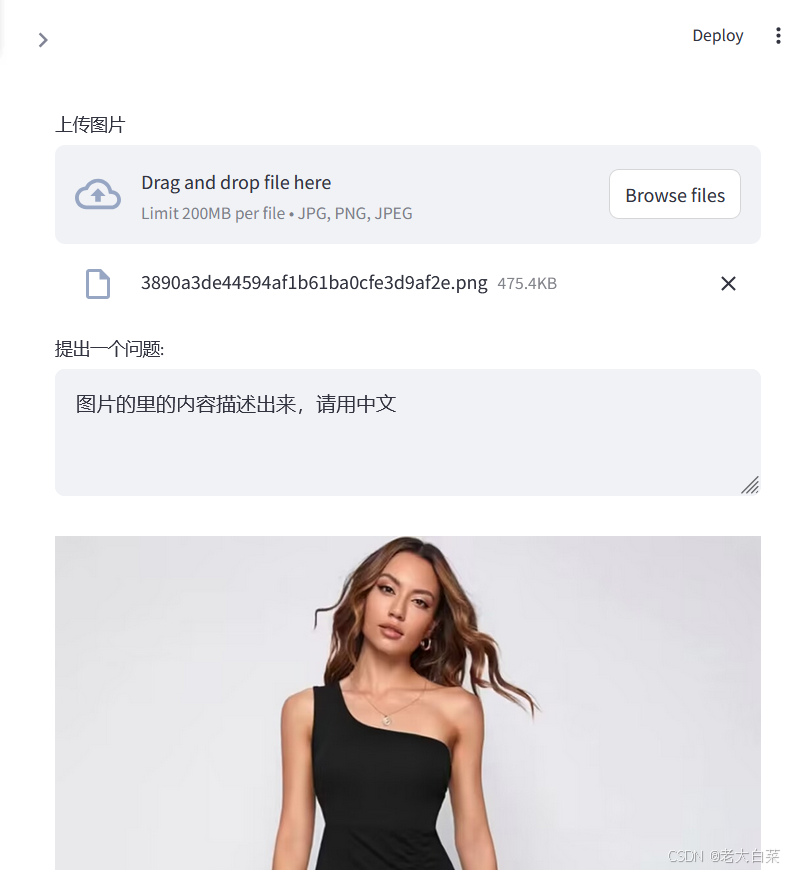 使用ollama ,Streamlit构建图像上传和聊天模型应用_ollama 上传图片-CSDN博客
