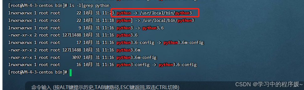内网环境搭建Python3环境_内网如何安装python库-CSDN博客