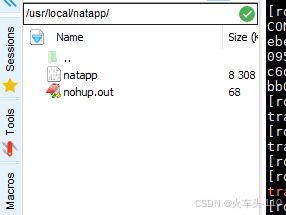 Linux、Windows使用内网穿透natapp-CSDN博客