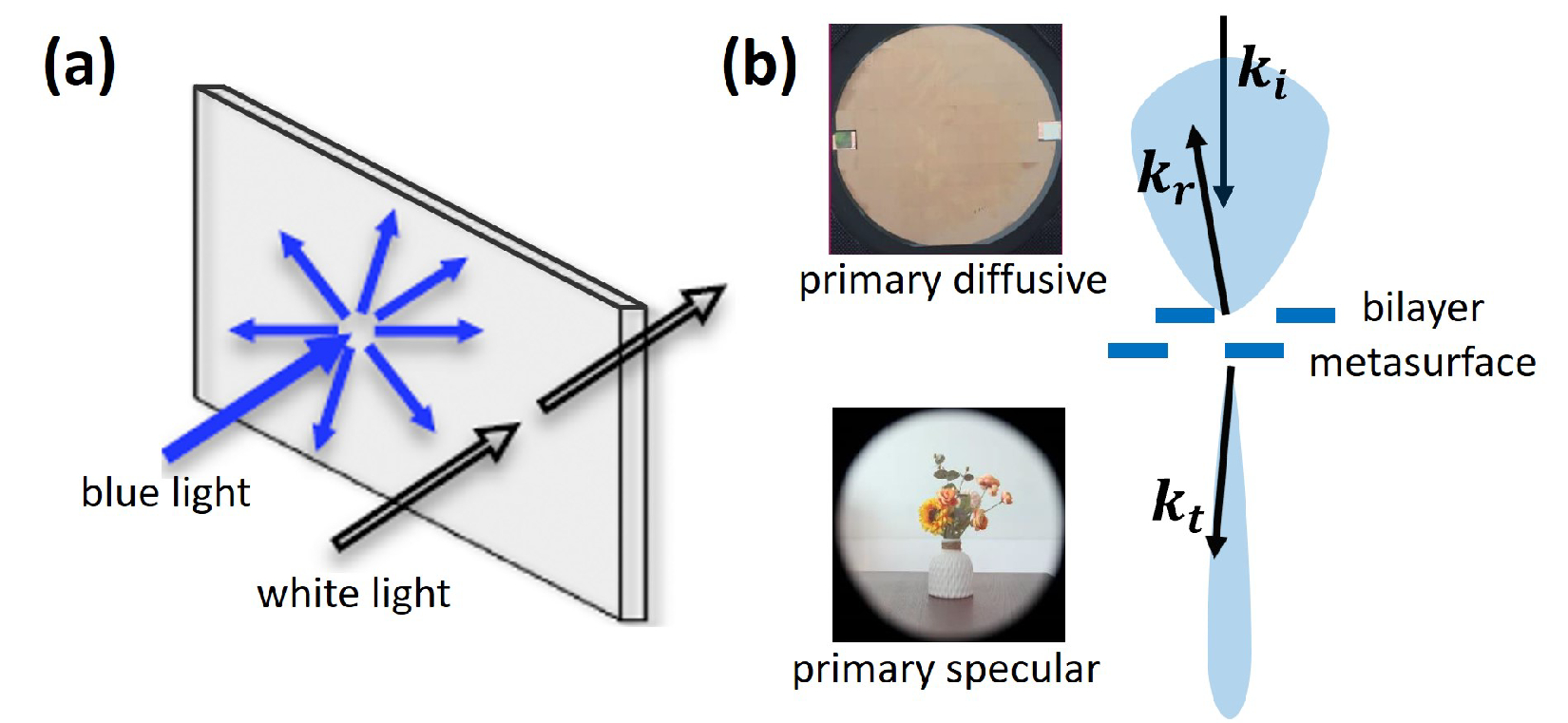 [超表面综述分享-8] Advances in Optics and Photonics-无序光学超表面综述-波尔多大学-CSDN博客