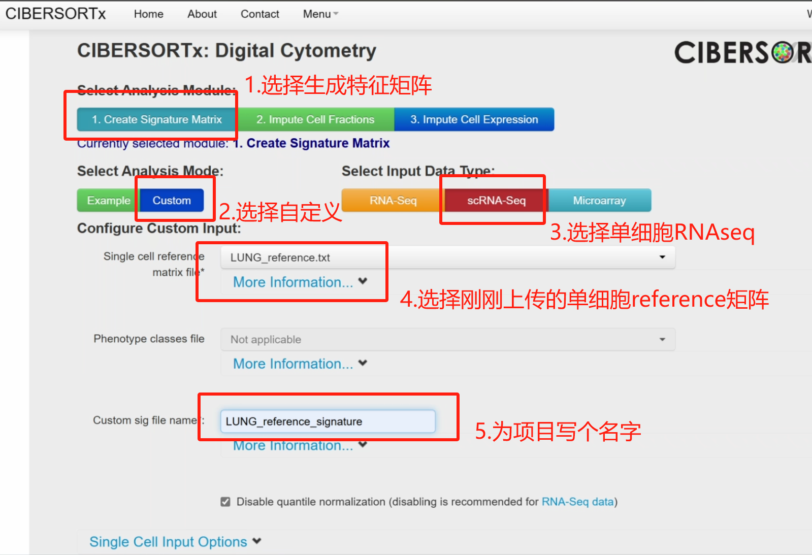 使用单细胞测序数据生成CIBERSORT参考特征矩阵_cibersortx-CSDN博客