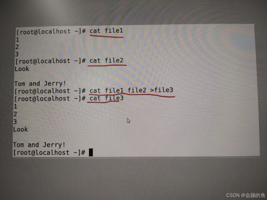 Linux实验day03- 文件读取命令cat、tac、more、less、head和tail的常规使用方法和常见选项、grep查找文件内容及其常见选项、 文件和目录的基本操作命令等_cat ...