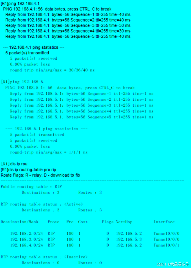 Rip环境下的MGRE实验-CSDN博客