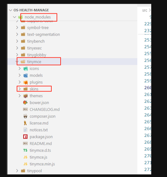 vue3 tinymce 富文本编辑器-CSDN博客