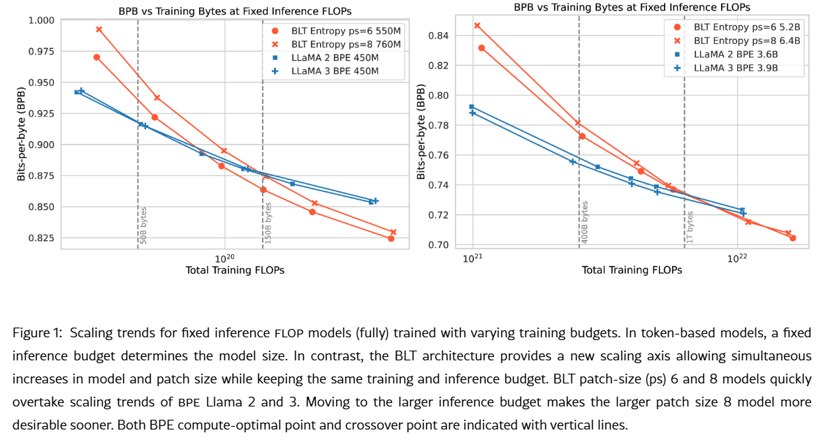 LLMs之BLT：《Byte Latent Transformer: Patches Scale Better Than Tokens》翻译与解读-CSDN博客