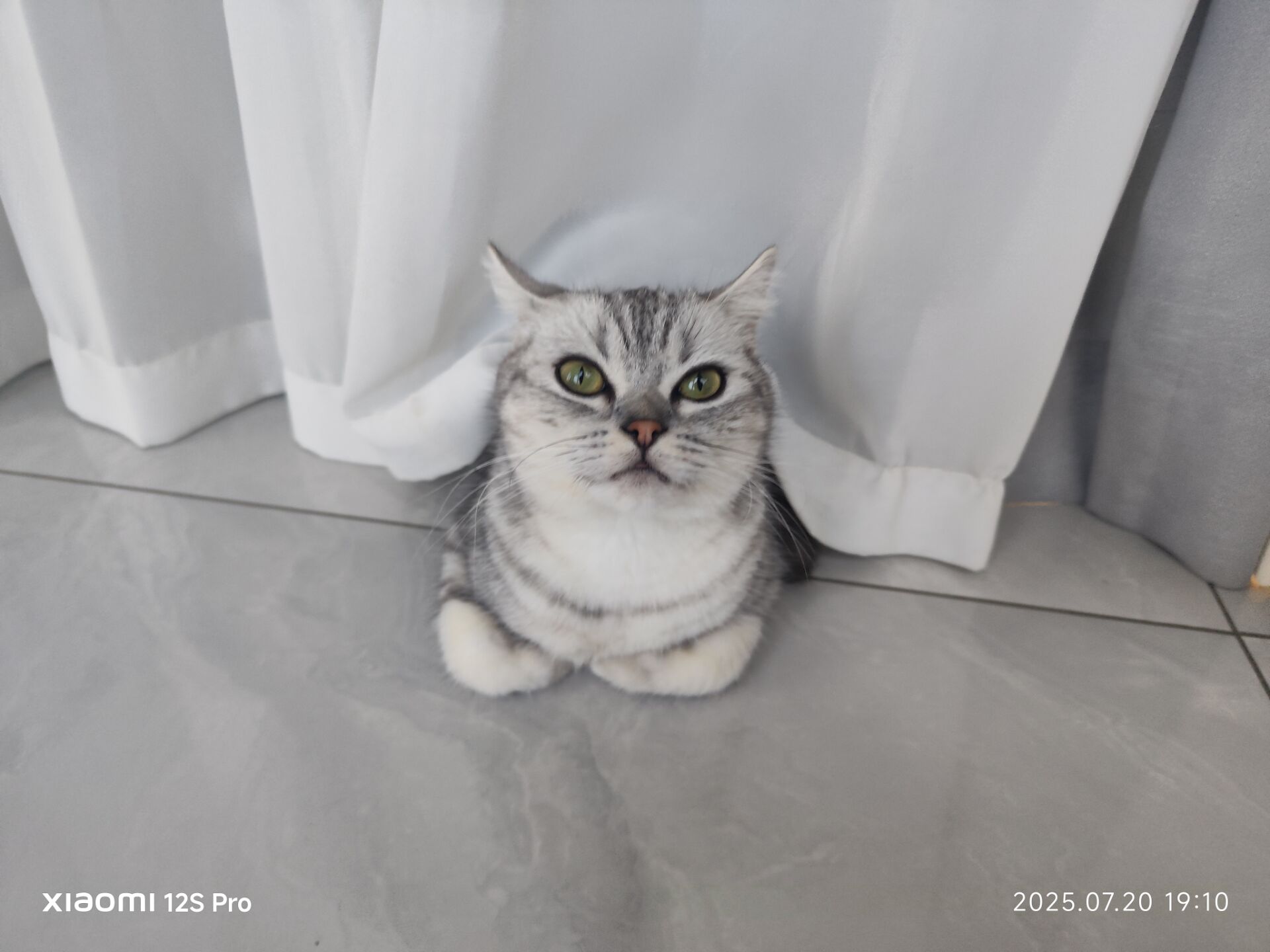 Qwen3-VL 3D grounding代码复现_qwen3vl github-CSDN博客