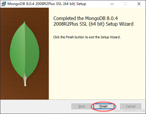 MongoDB & MongoDB Compass(可视化管理工具)的下载与安装（简洁版），附带建表和四个基本的增删改查语句_mongodb compass download (gui)-CSDN博客