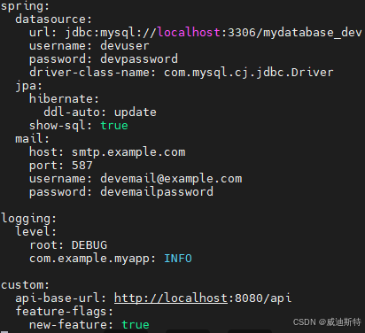 项目部署中，spring boot框架下的配置文件application-dev.yml的应用-CSDN博客