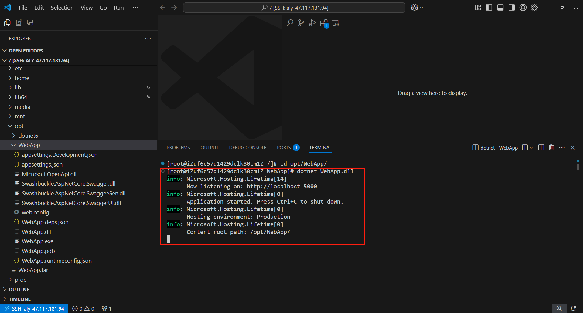 如何在Linux中部署Asp.Net Core Web API应用_netcore linux部署-CSDN博客