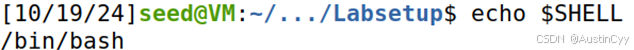 【Seed-Labs 2.0】Shellcode Development Lab-CSDN博客